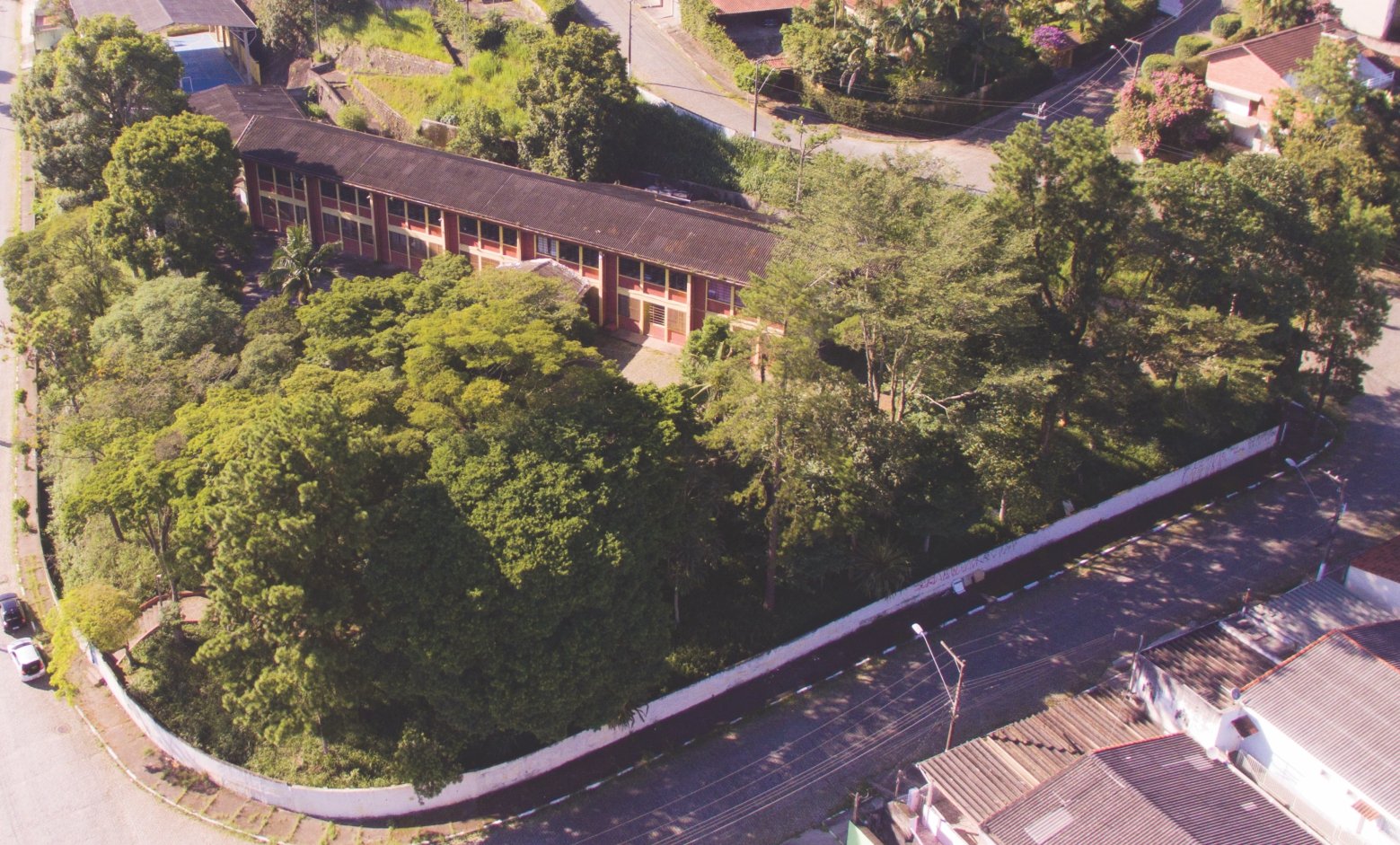 Turma de 1966 da E. E. Dr. Felício Laurito programa encontro após 53 ...