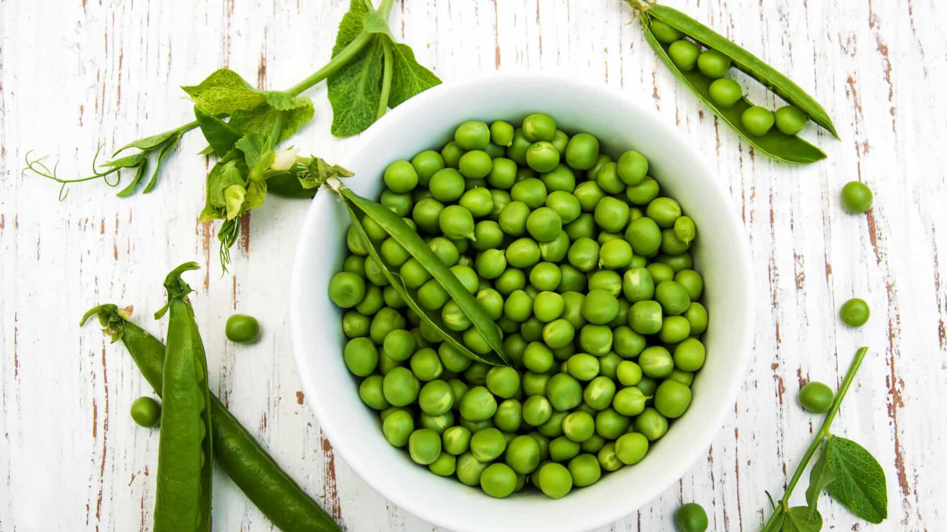 Alimento saudável que cura: Ervilha - Jornal Mais Notícias | Notícias e ...